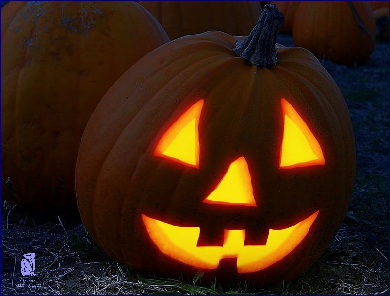Vyřízni si perfektní Dyne Dýně na Halloween! Květen 2026 - Magazin ...